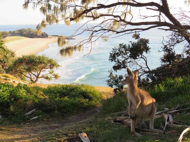 A Guide to North Stradbroke Island - Australian Traveller