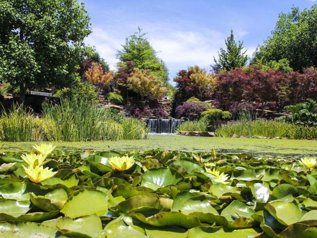 Why You Need To Visit The Picture-Perfect Mayfield Garden - Australian ...