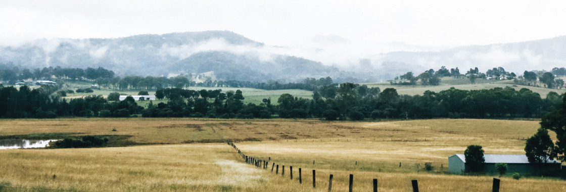 The Ultimate Hunter Valley Travel Guide | Australian Traveller