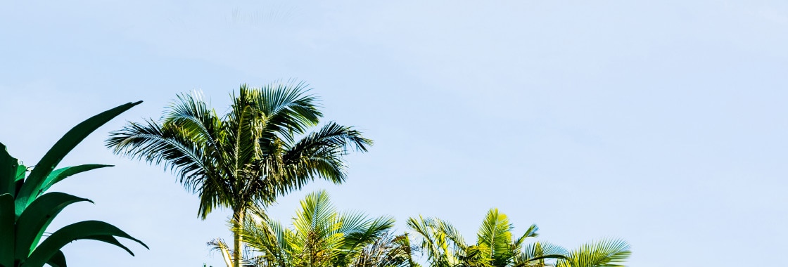 The Ultimate Queensland Getaway | Australian Traveller