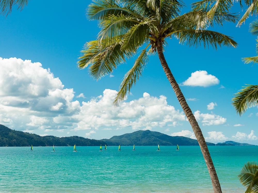 Top 13 Things For Families To Do On Hamilton Island