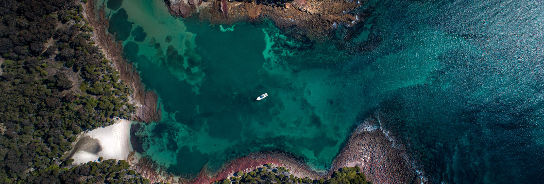 Jervis Bay Holidays & Travel Guide | Australian Traveller