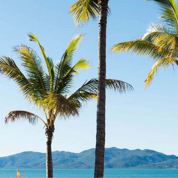 The Ultimate Central Queensland Holiday & Travel Guide
