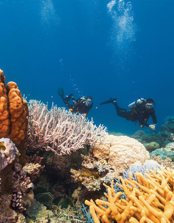 12 Great Barrier Reef facts to help you plan a bucket list adventure
