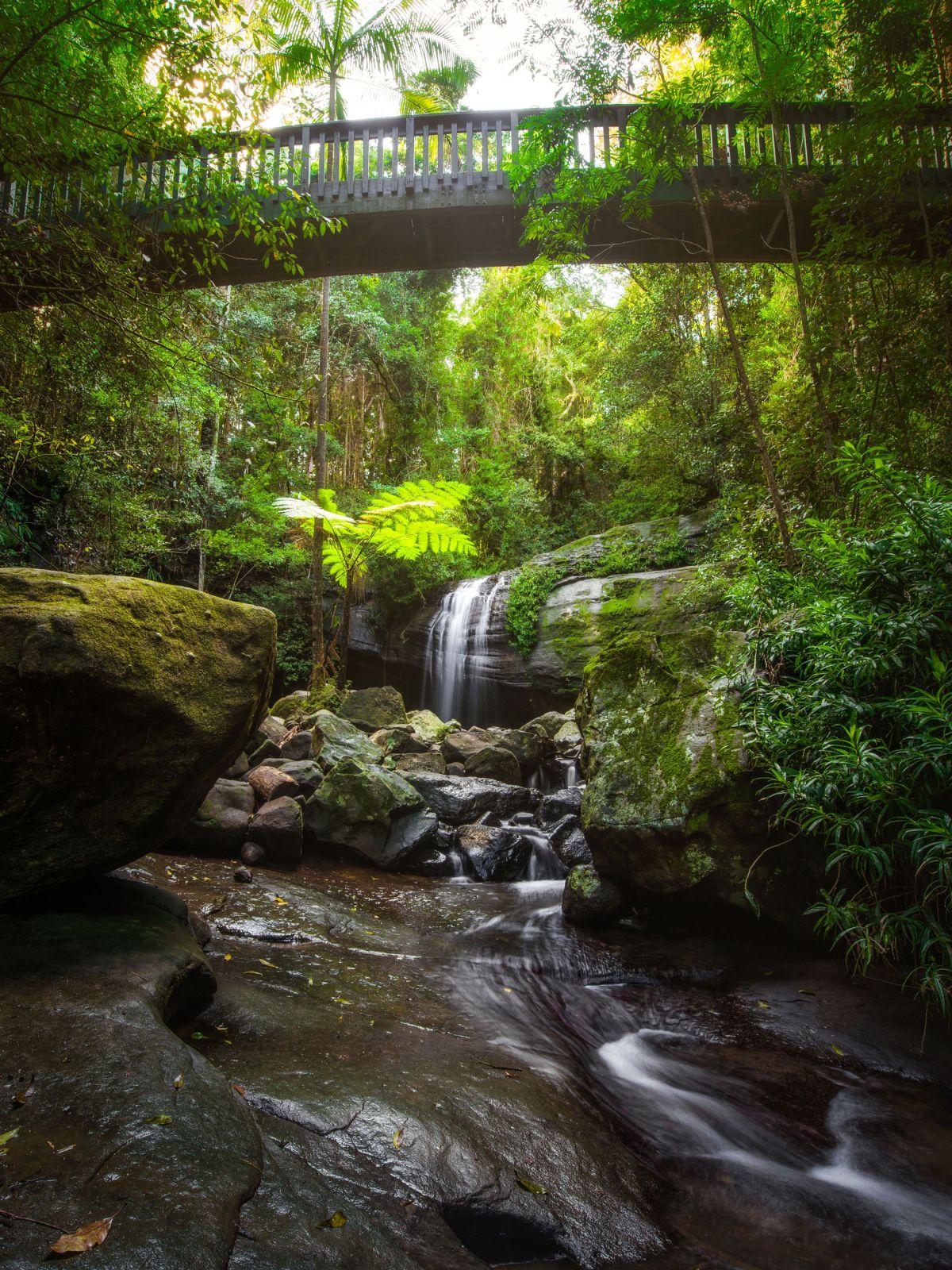 Your guide to Mapleton, the Sunshine Coast's hidden gem