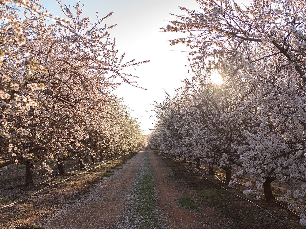 The quirky delights of The Kidman Way, Outback NSW