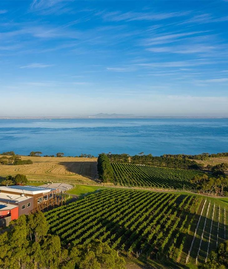 Geelong Holidays & Travel Guide | Australian Traveller