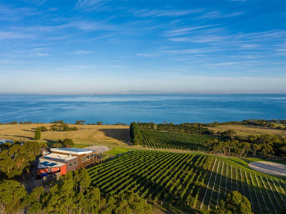 The Best Wineries In Geelong And The Bellarine Peninsula