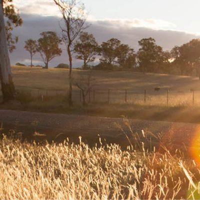 Travel Guide to the Hunter Region of NSW - Australian Traveller