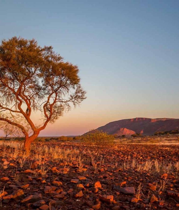 Outback Western Australia Guide