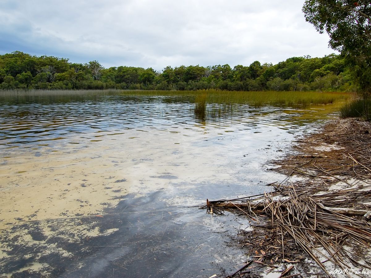 9 of K'gari lakes and swimming spots
