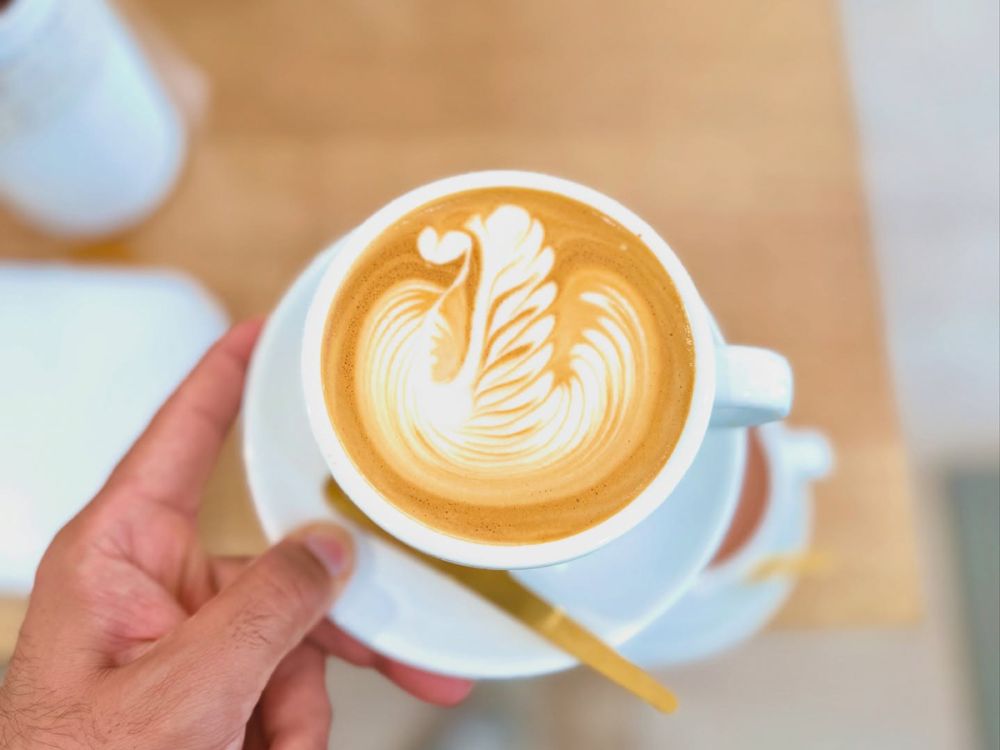 19 of the best cafes in Hobart for top-notch coffee