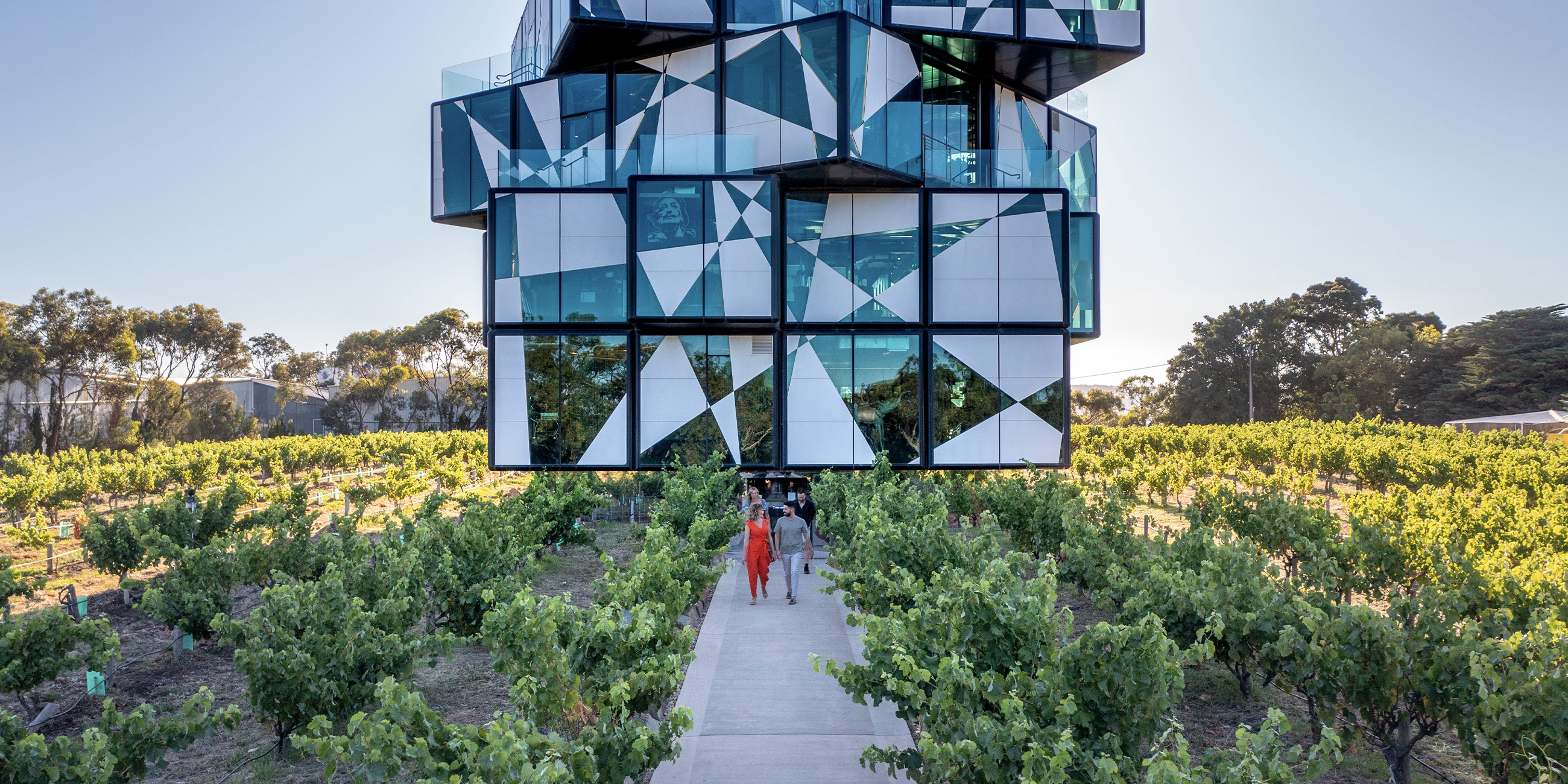 Top Things To Do In McLaren Vale | Australian Traveller