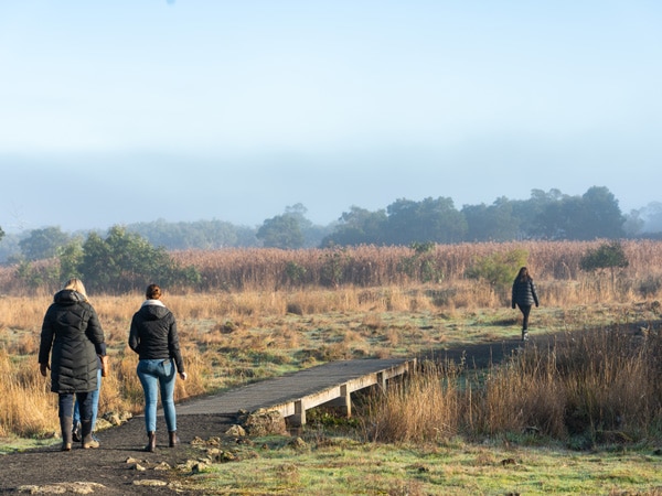 Exploring the Budj Bim Cultural Landscape - Australian Traveller