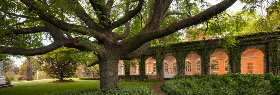 Bowral Holidays & Travel Guide - Australian Traveller