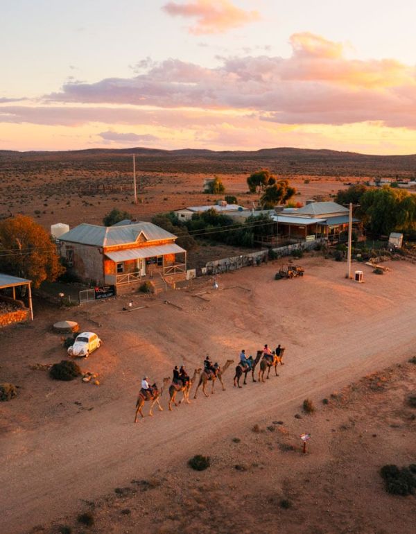 6 of the best things to do in Bourke, NSW - Australian Traveller