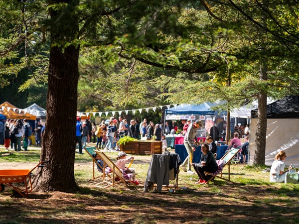 Canberra’s coolest suburb: The ultimate Braddon guide