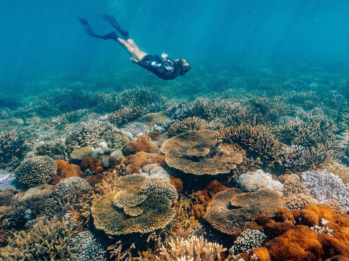 Your ultimate guide to Great Keppel Island