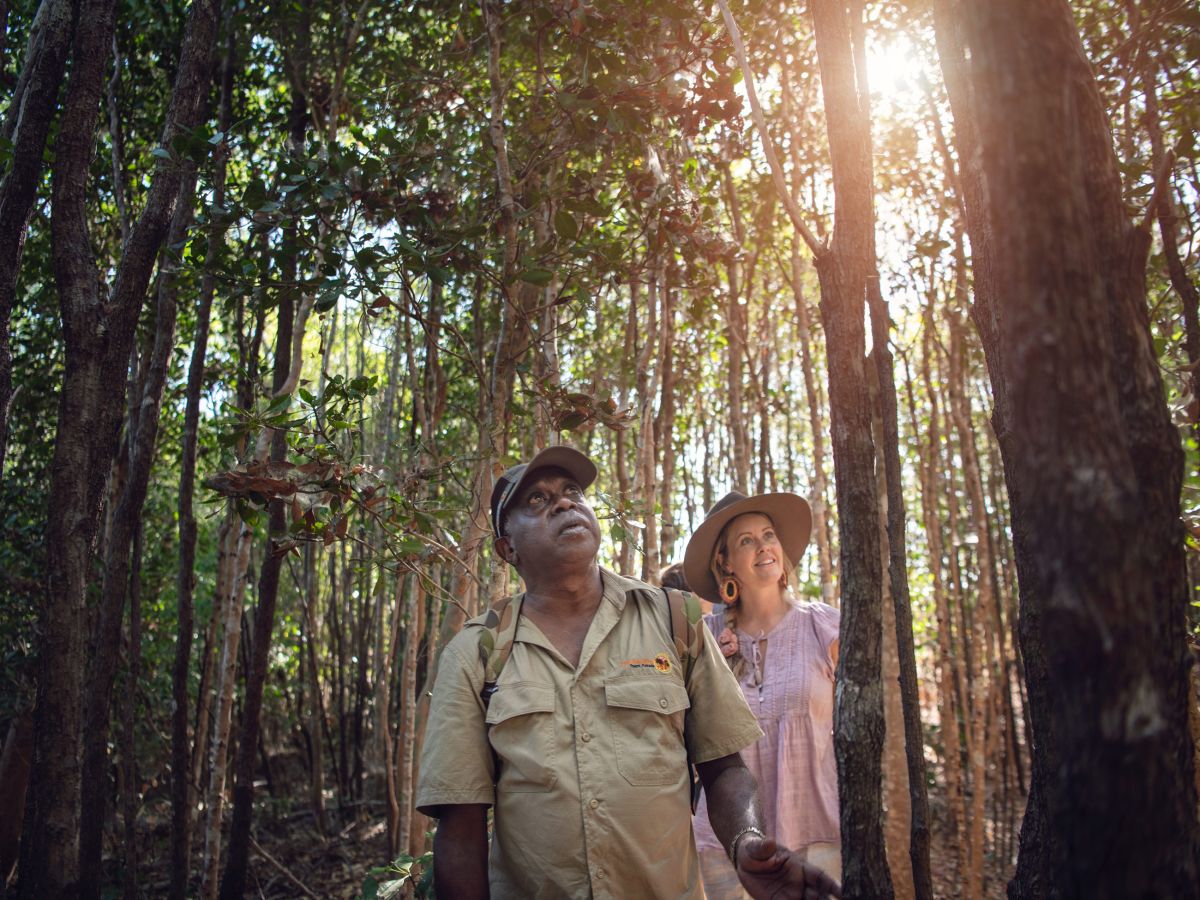 There are 6 Indigenous seasons of Kakadu (if you know to look)