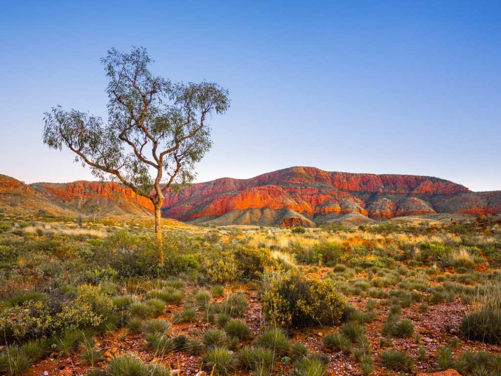 Australia Ranks Second In World's Most Unspoilt Landscapes - Australian ...