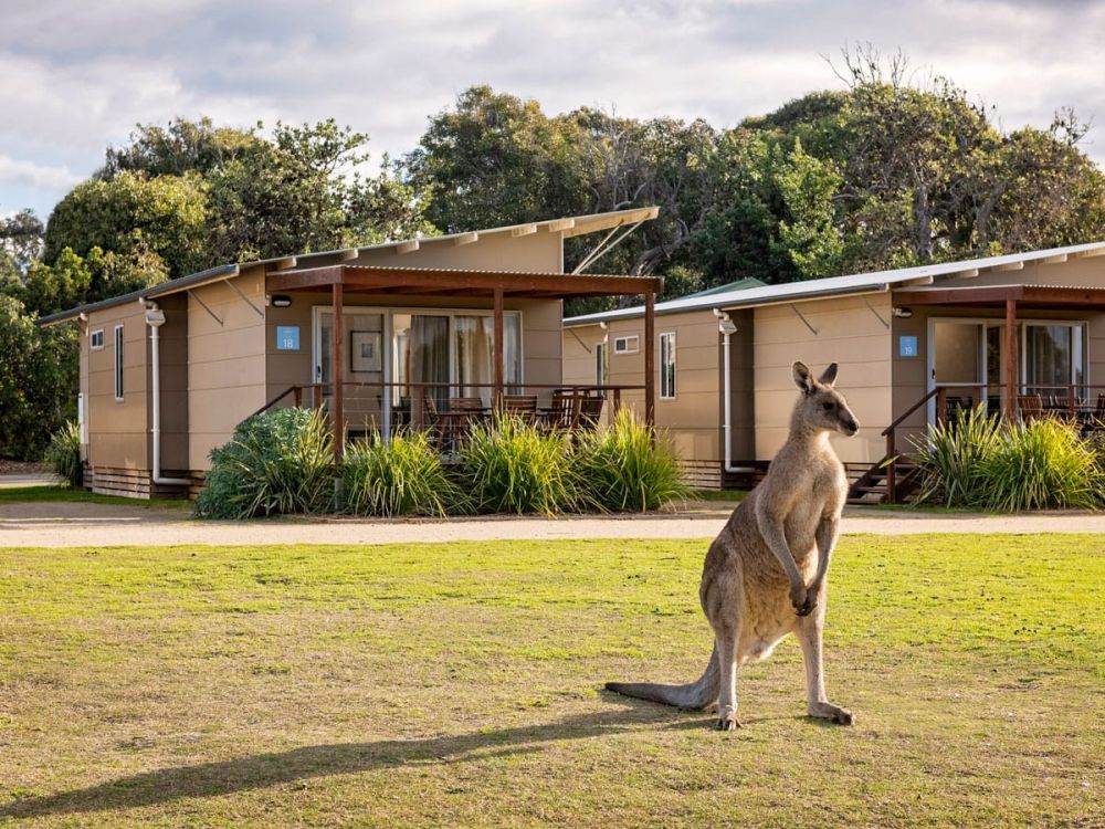 Top Merimbula Caravan Parks For An Old-School Getaway - Australian ...