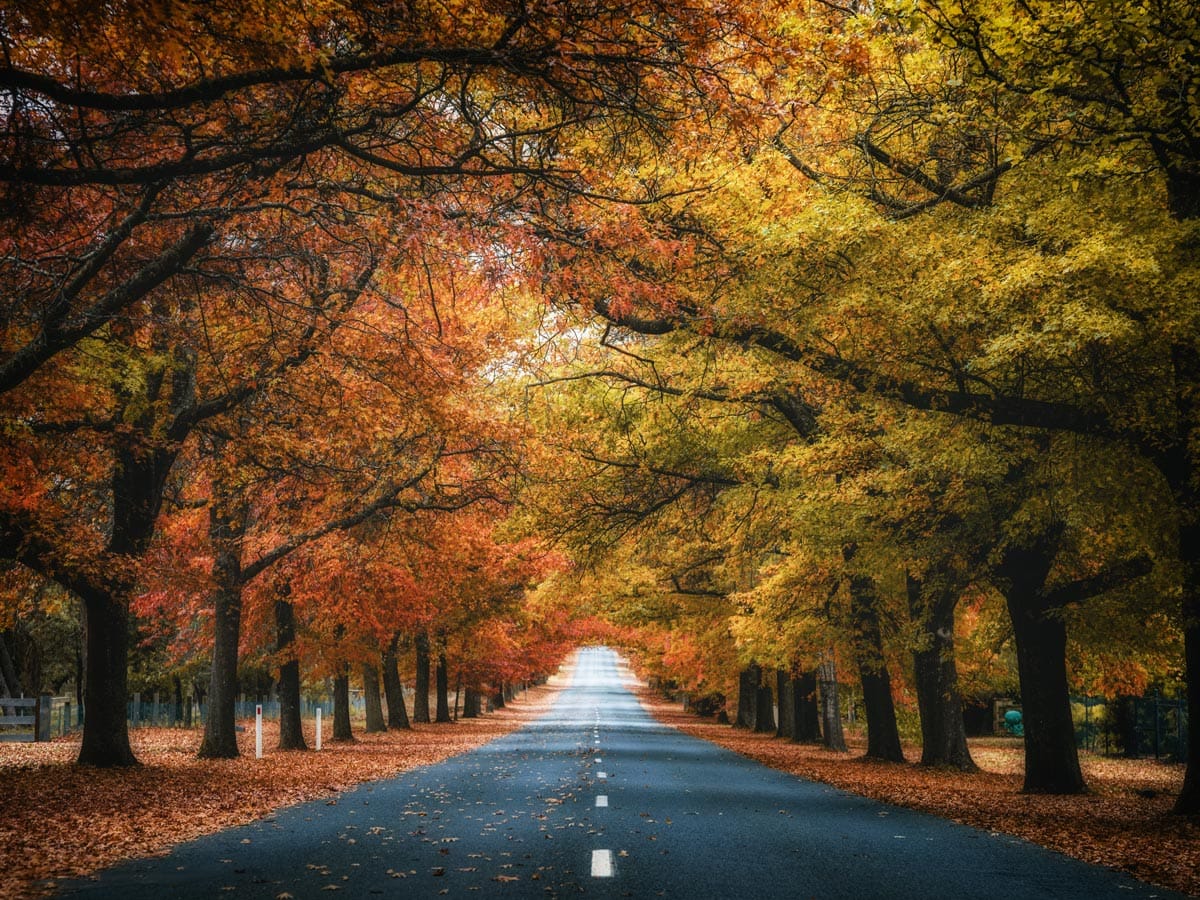 12 Scenic Autumn Road Trips Across Australia - Australian Traveller