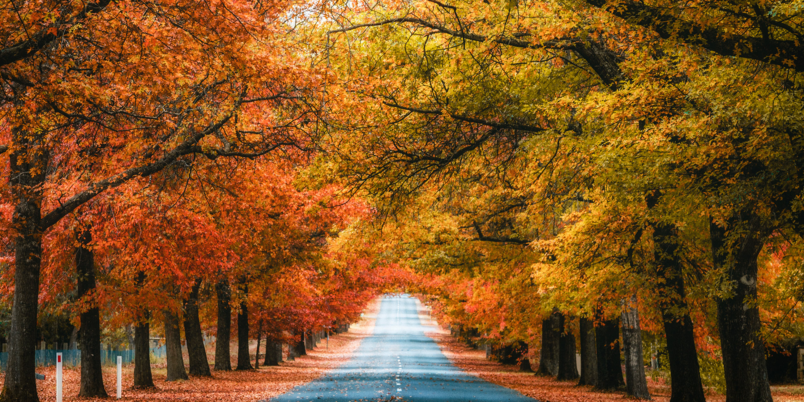 12 Scenic Autumn Road Trips Across Australia - Australian Traveller
