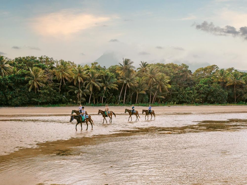 Experiences You Can Only Have In Tropical North Queensland
