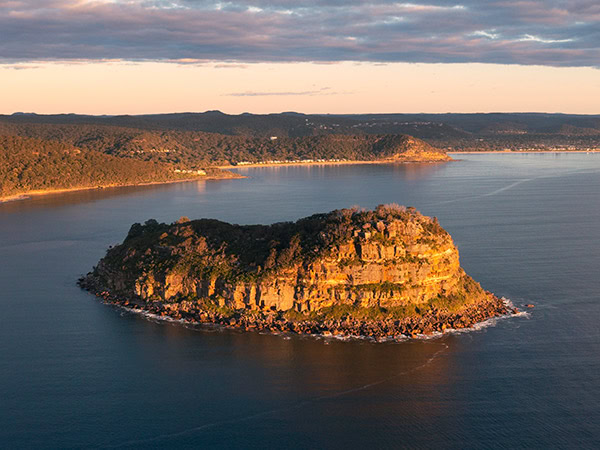 14 Places To See Penguins In Australia | Australian Traveller