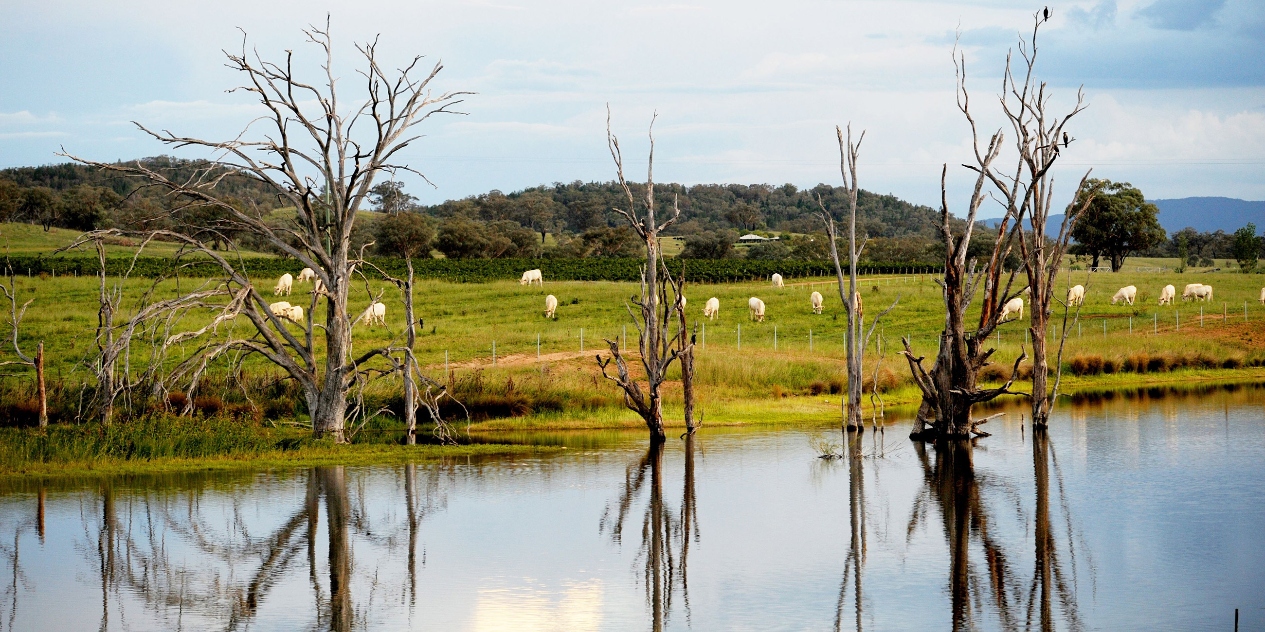 Mudgee Caravan Parks: Here's Everything You Need To Know