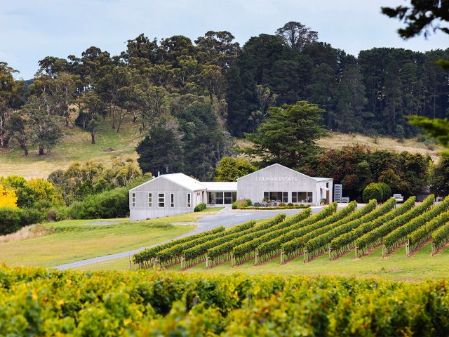 The 23 Best Orange Wineries To Visit | Australian Traveller