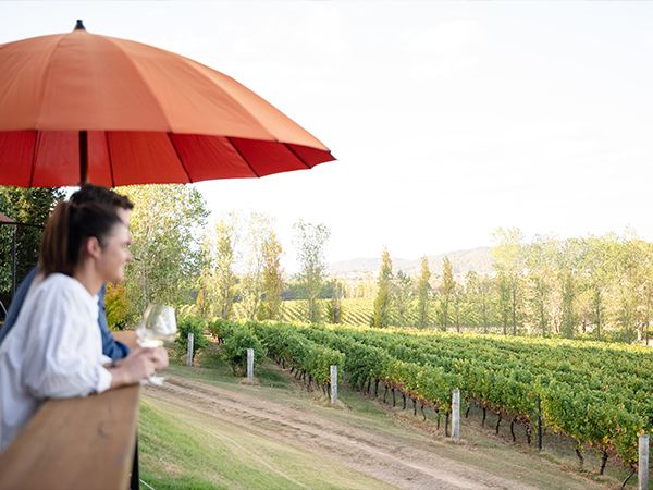 The 23 Best Orange Wineries To Visit | Australian Traveller