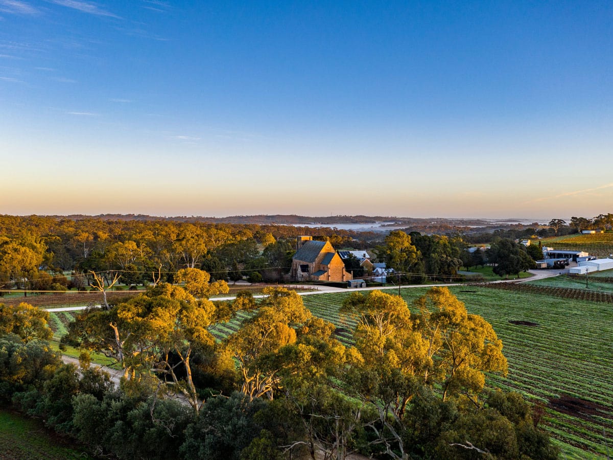 The Riesling Trail In Clare Valley: Everything You Need To Know ...