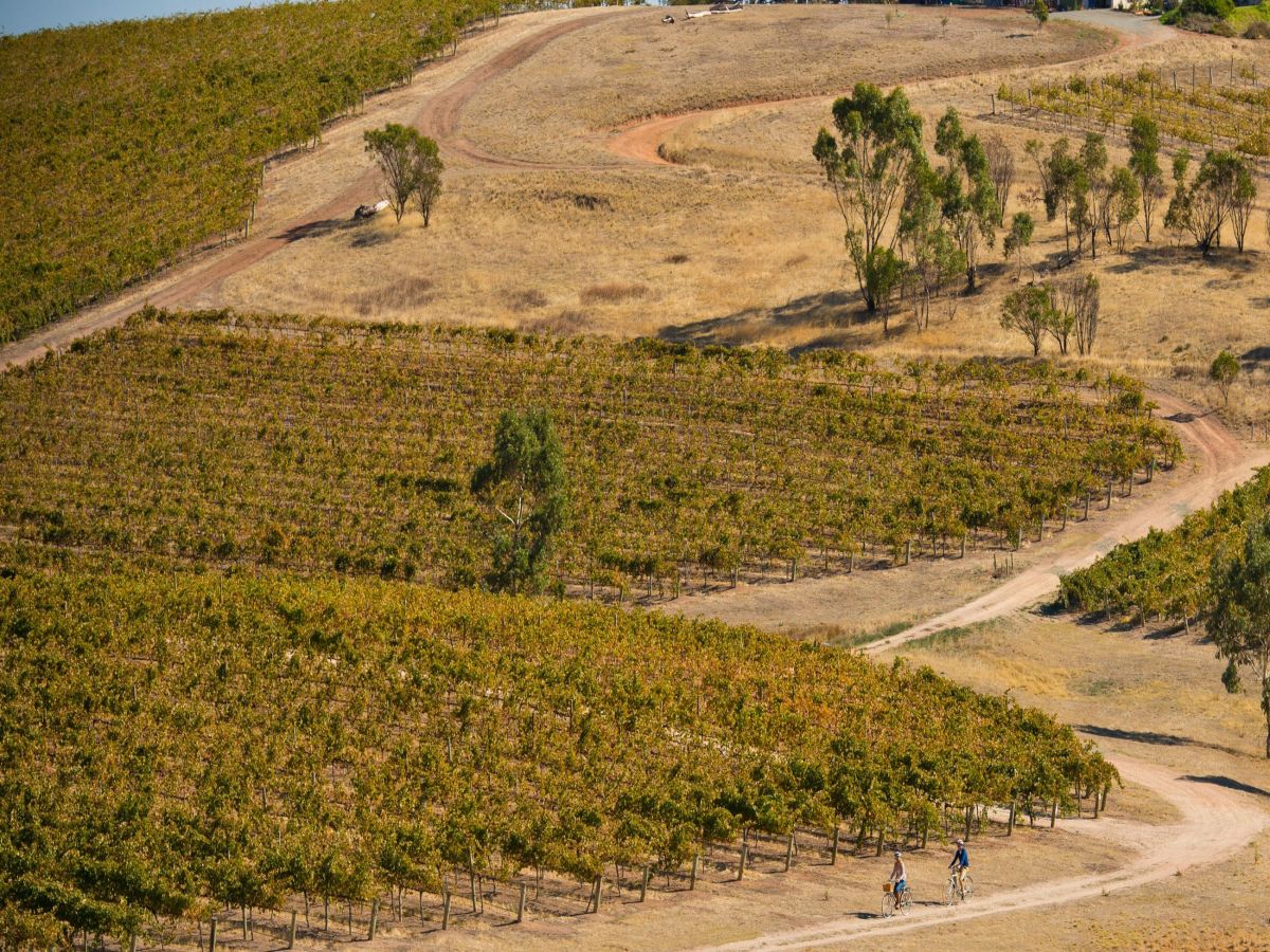 The 21 Most Incredible Rail Trails Around Australia | Australian Traveller