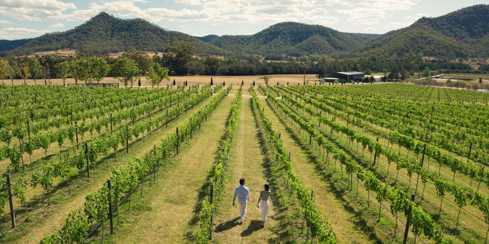 Savour sensational wine at the best vineyards in the Hunter Valley