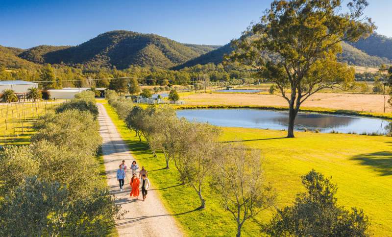 Travel Guide to the Hunter Region of NSW - Australian Traveller