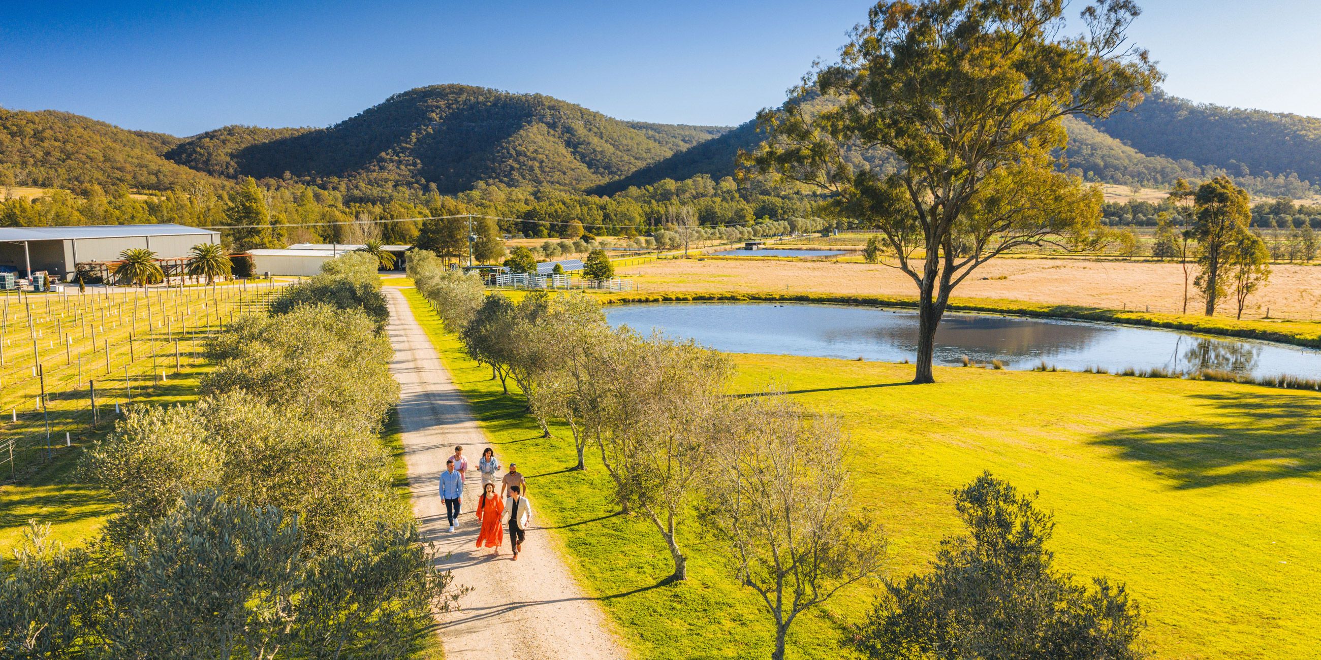Uncover Indulgences with our Undiscovered Hunter Valley Itinerary