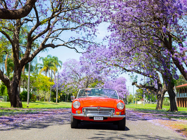 15 stunning spring festivals around Australia - Australian Traveller