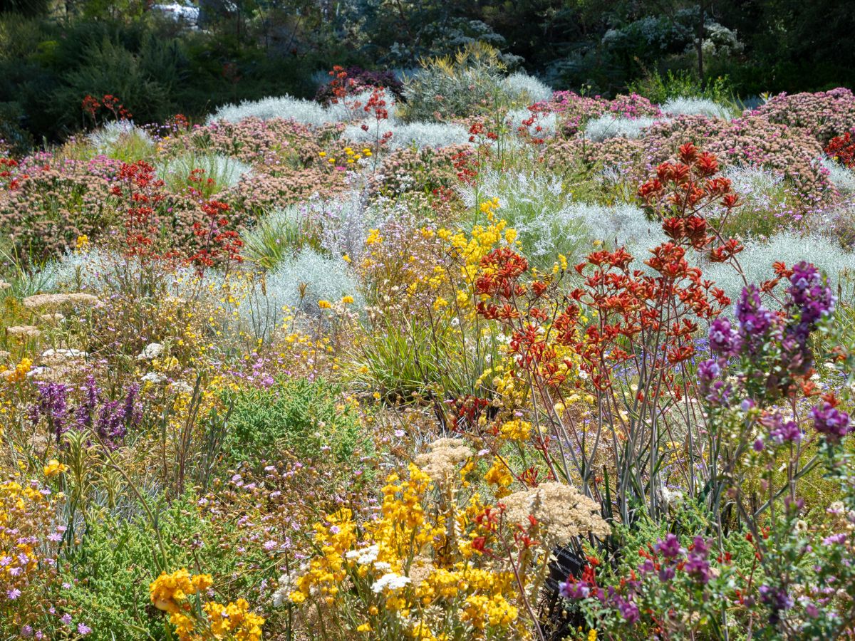 What's On In Your State This October - Australian Traveller