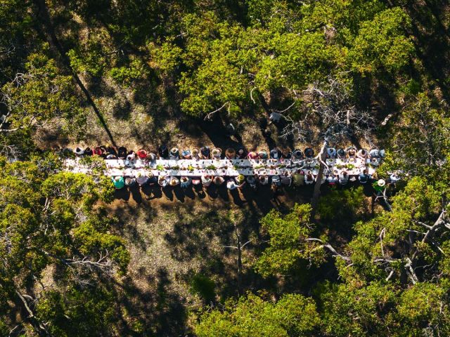 15 stunning spring festivals around Australia - Australian Traveller