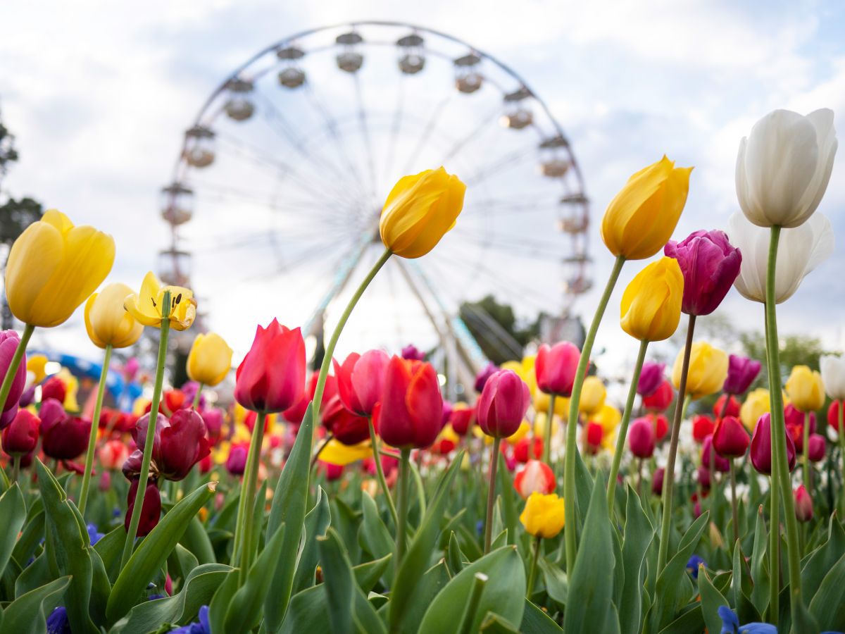 What's On In Your State This October - Australian Traveller