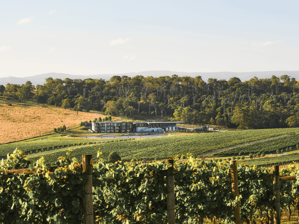 The Best Yarra Valley Wineries (2024) | Australian Traveller