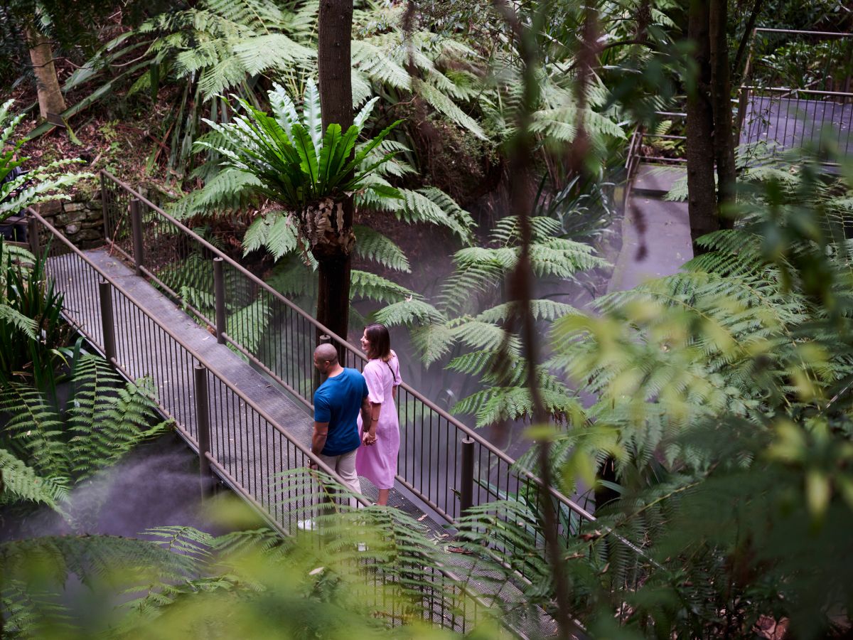 14 Canberra walks for when you can’t get enough of nature