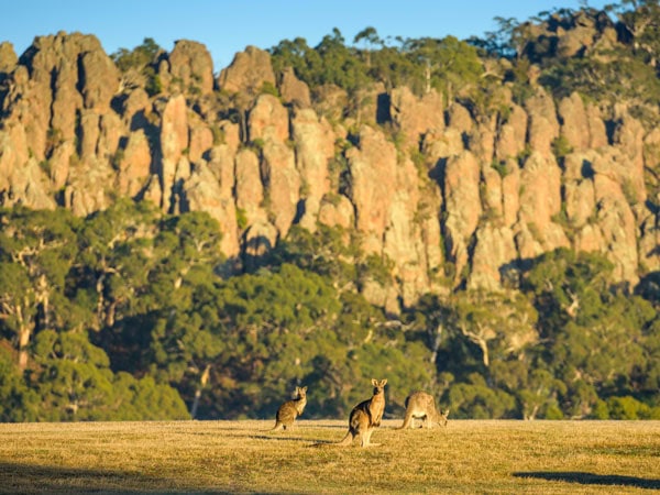 Hanging Rock: Australia’s Iconic Literary Landmark | Australian Traveller