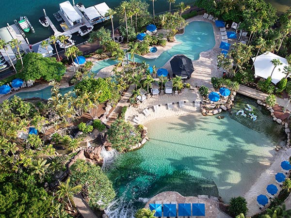 Dive with tropical fish at the JW Marriott Gold Coast pool
