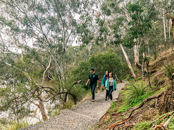 13 Incredible Hikes In Melbourne | Australian Traveller
