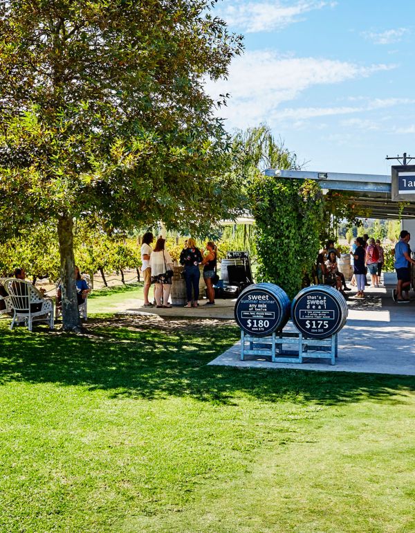 24 Perth Bars You Need To Raise A Glass At (2025) | Australian Traveller