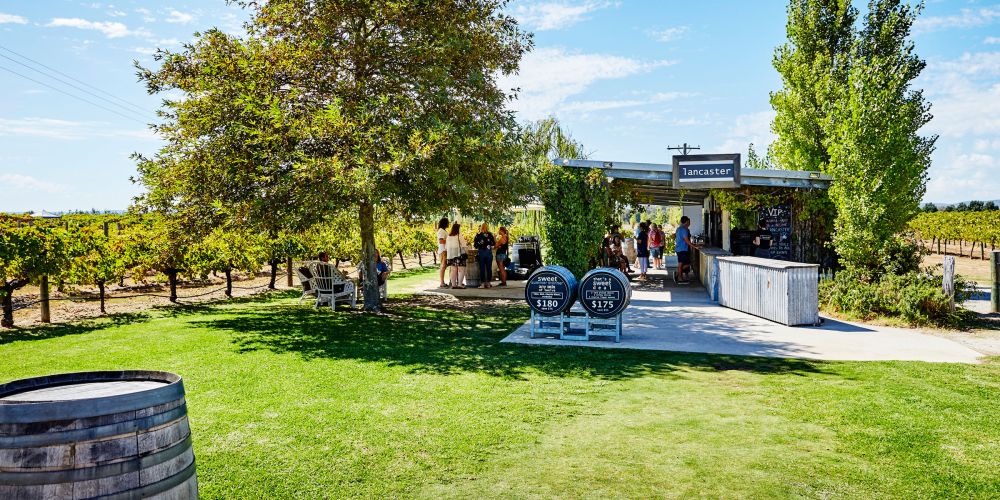 The Juiciest Strawberry Picking Spots in Perth
