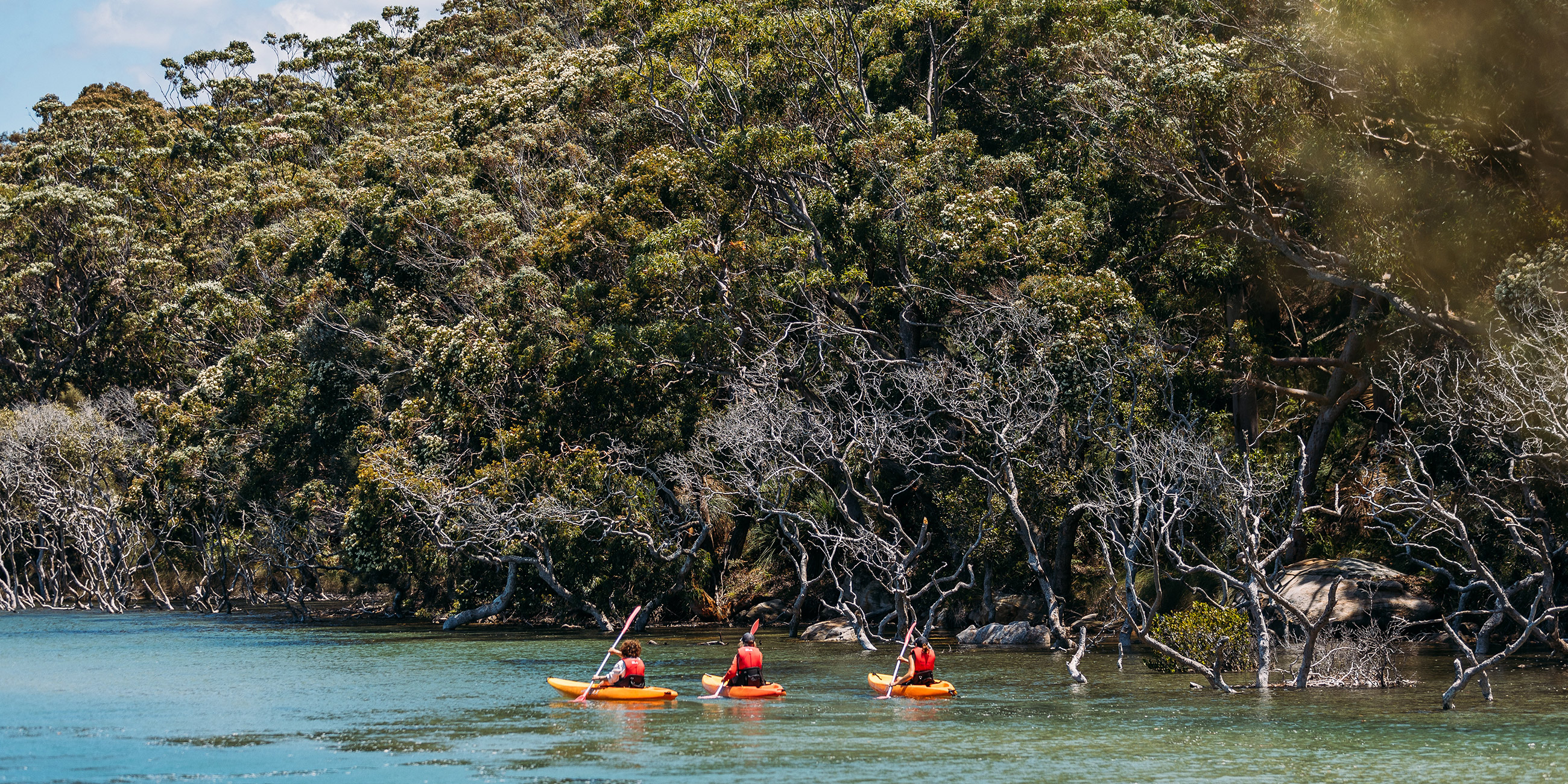 Your guide to the best things to do in Sutherland Shire