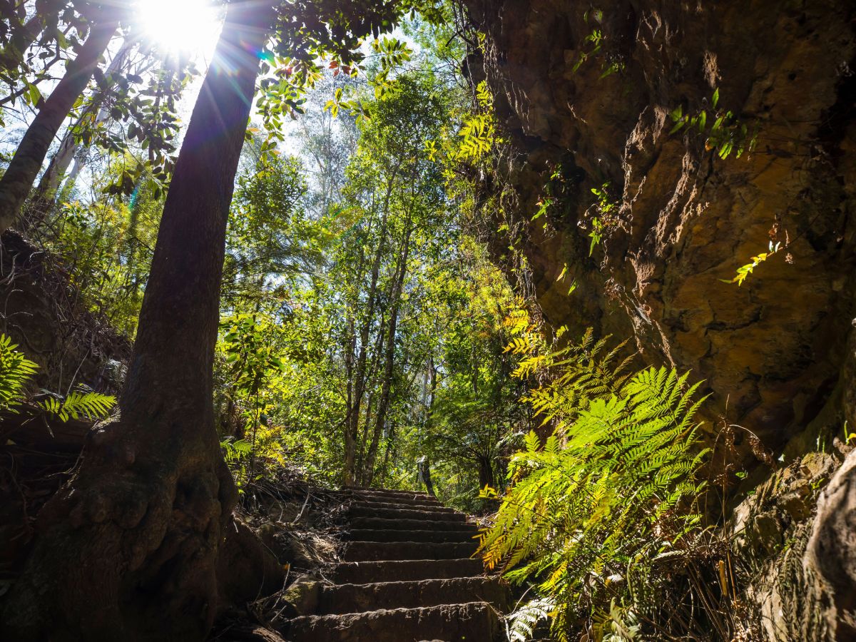 Australia’s top-rated hikes of the year revealed - Australian Traveller
